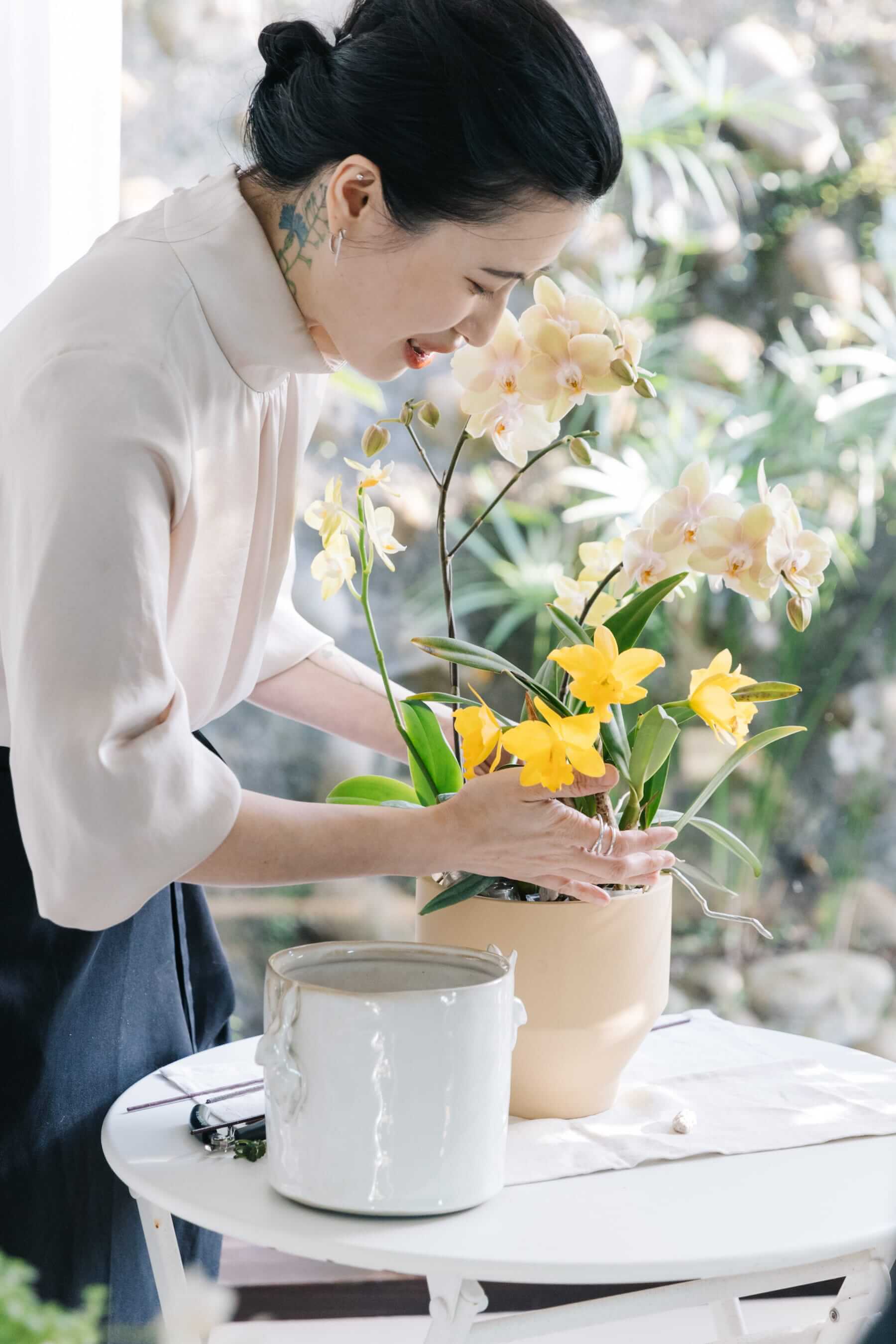 蘭花迷快看！「2024世界蘭展」在台南：超過1200種蘭花參賽，藝術家陳普、植物風格師Yuty翻轉蘭花想像 - VERSE